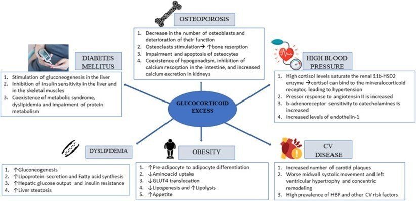 The Dangers of Excess Cortisol: Understanding Hypercortisolism and Its ...