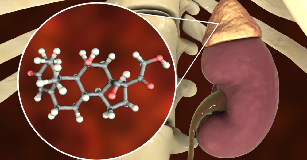 High Aldosterone Symptoms: Recognizing the Signs of Primary ...
